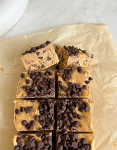 Peanut Butter Chocolate Chip Protein Fudge Recipe