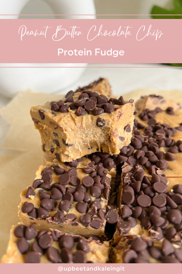 Peanut Butter Chocolate Chip Protein Fudge Recipe